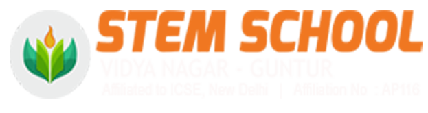 Stem School